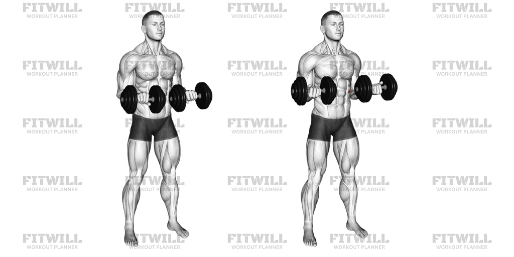 Dumbbell Standing Arms Rotate: Exercise Guide, Video, Techniques ...