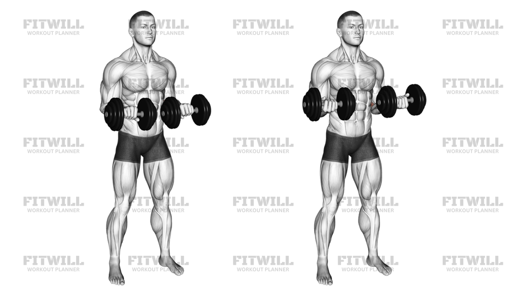Dumbbell Standing Arms Rotate: Exercise Guide, Video, Techniques ...