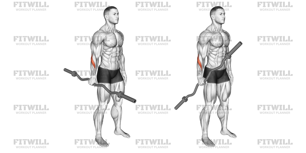 EZ Barbell Standing Single Arm Neutral Wrist Curl: Exercise Guide ...