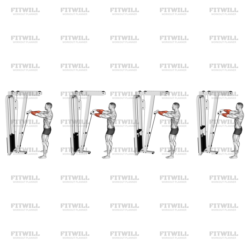 How to do Cable Standing Wrist Roll: Techniques, Benefits, Tips ...