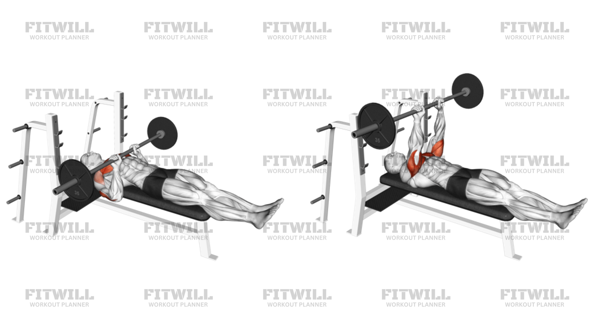 Barbell Close Grip Larsen Bench Press: Exercise Guide, Video ...