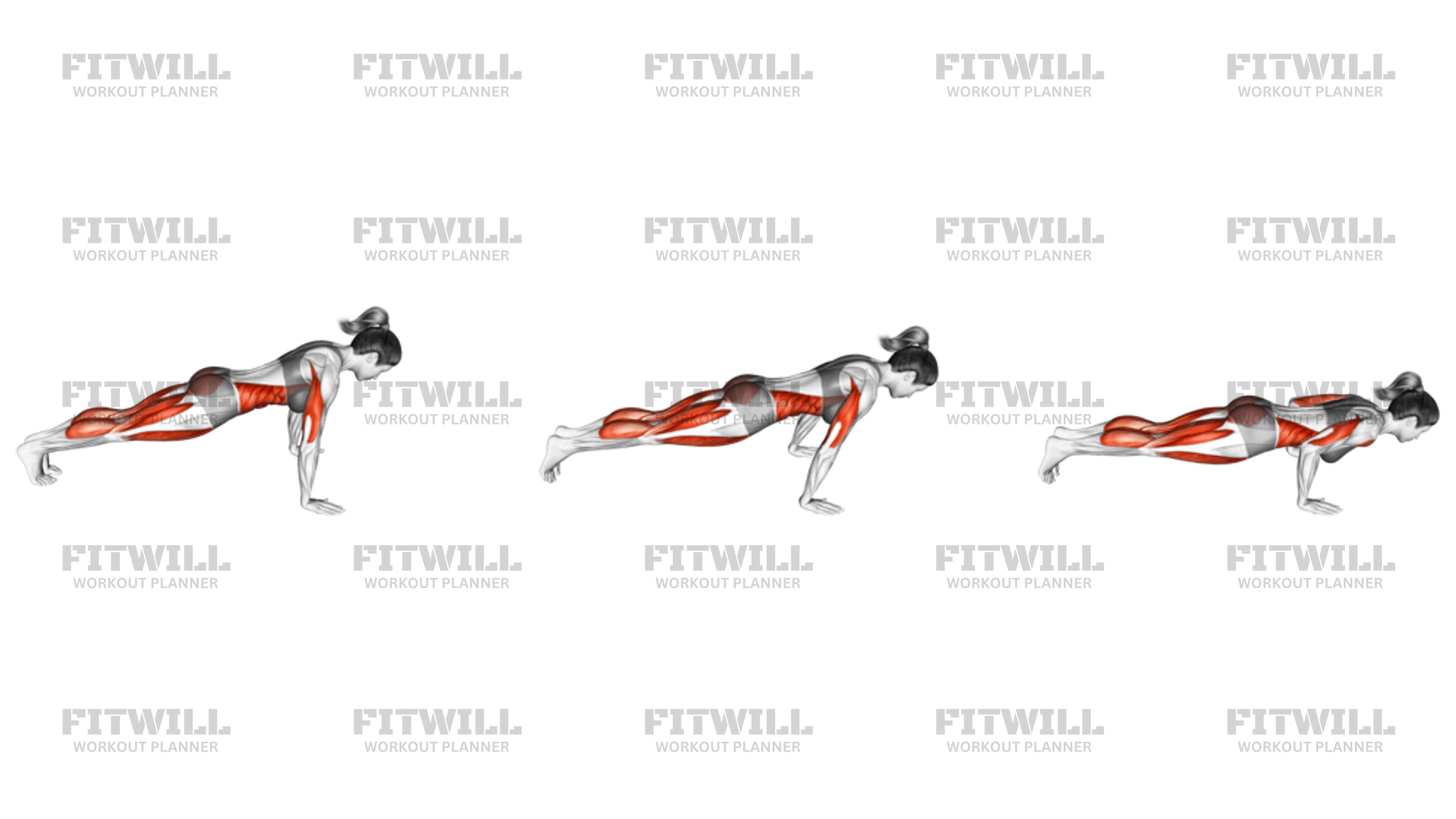 Chaturanga Dandasana (Four Limbed Staff Pose): Exercise Guide ...