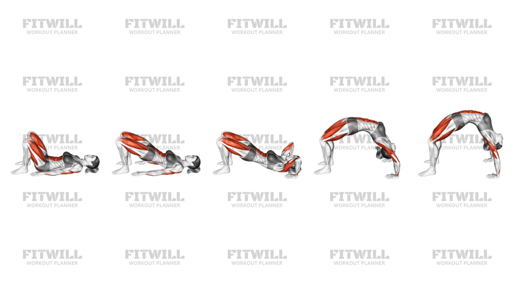 How To Do Wheel Pose Urdhva Dhanurasana Techniques Benefits Tips