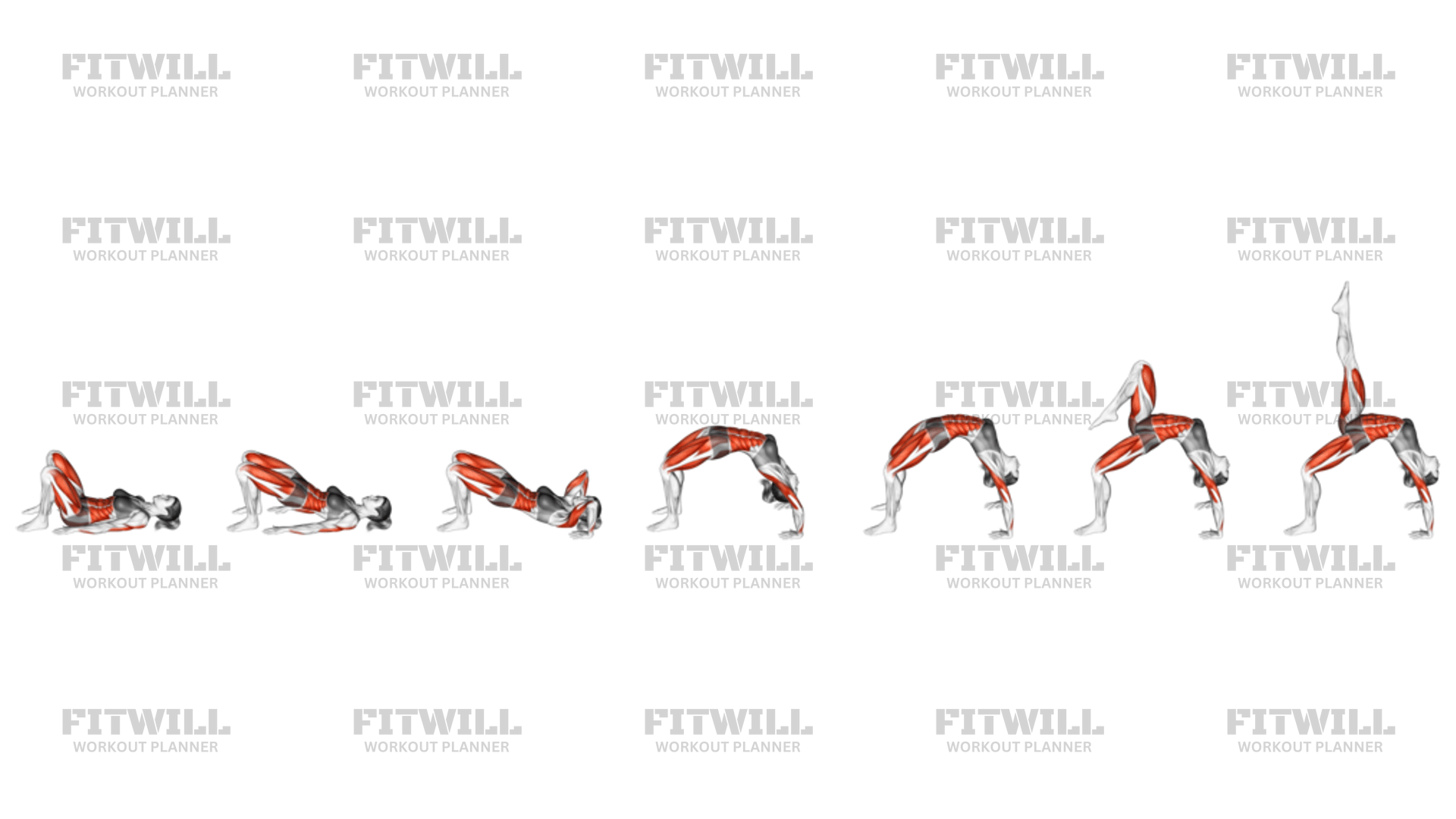 One Legged Upward Bow Pose Eka Pada Urdhva Dhanurasana: Exercise Guide ...