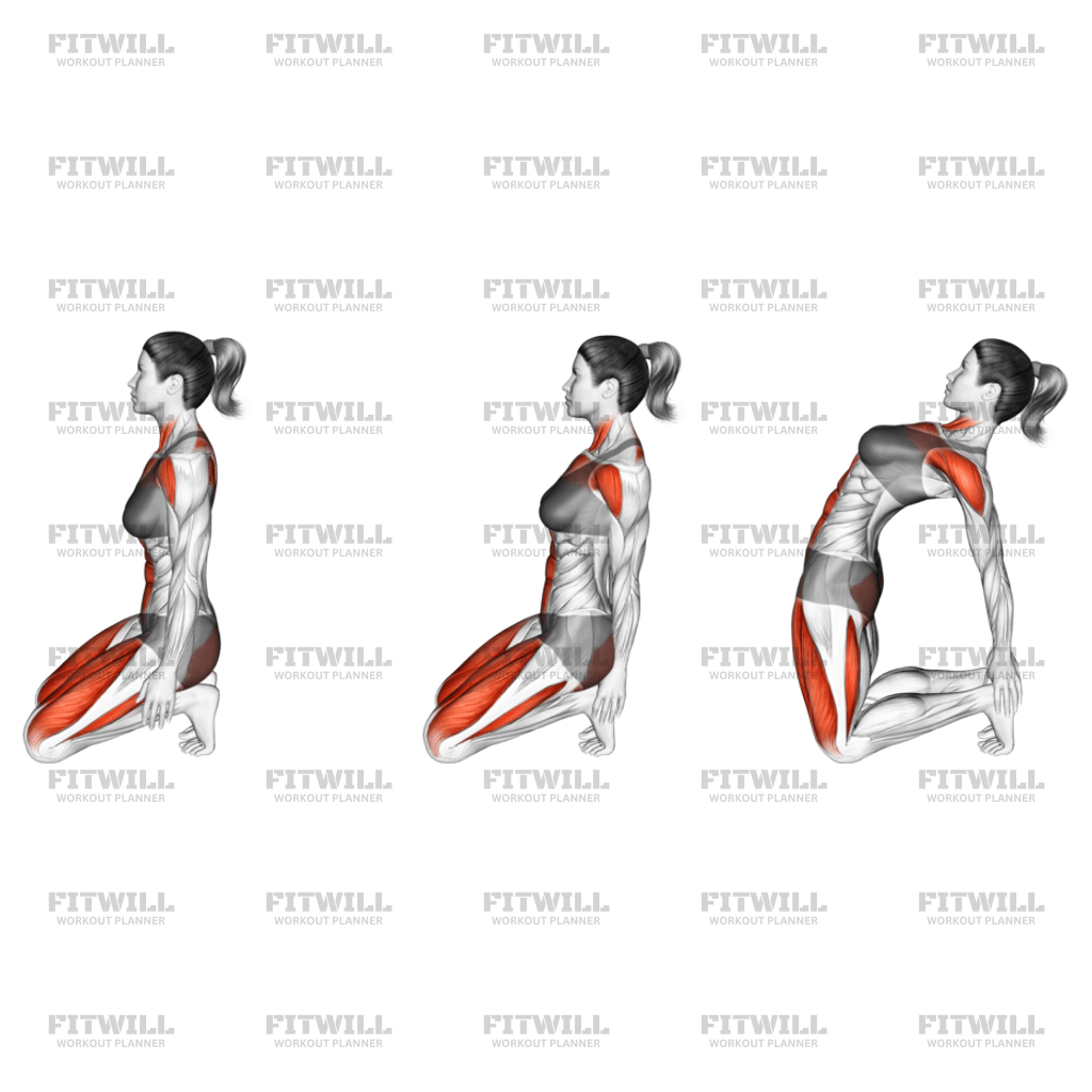 Camel Pose Ustrasana: Exercise Guide, Techniques, Benefits, How to ...