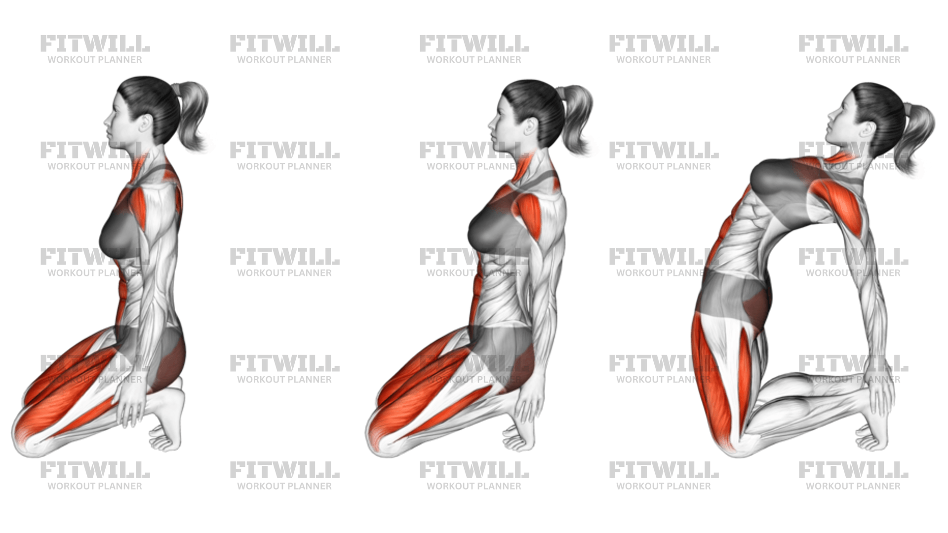 Camel Pose Ustrasana: Exercise Guide, Techniques, Benefits, How to ...