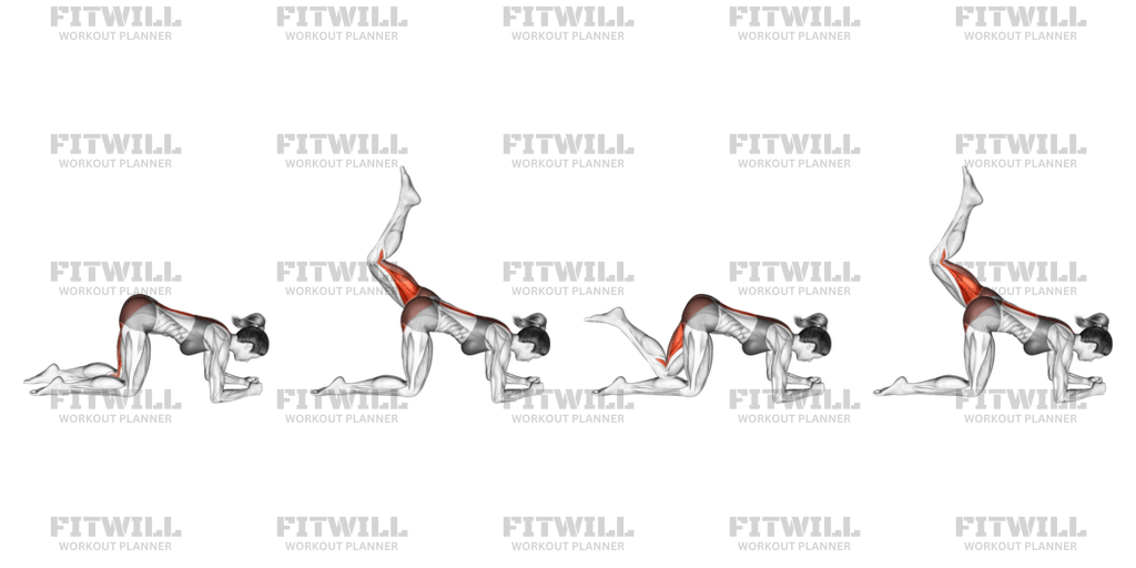 Basic To Cross Donkey Kick: Exercise Guide, Video, Techniques, Benefits ...