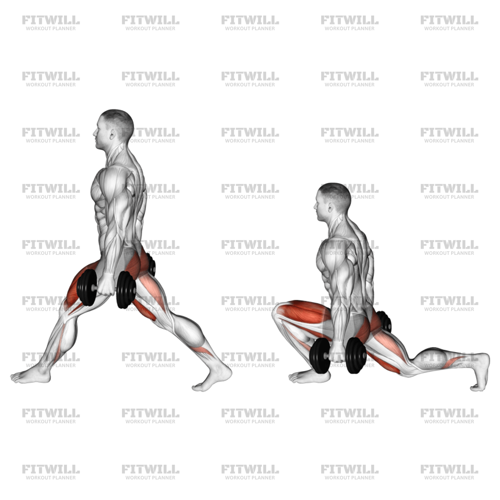 Dumbbell Low Split Squat: Exercise Guide, Video, Techniques, Benefits ...