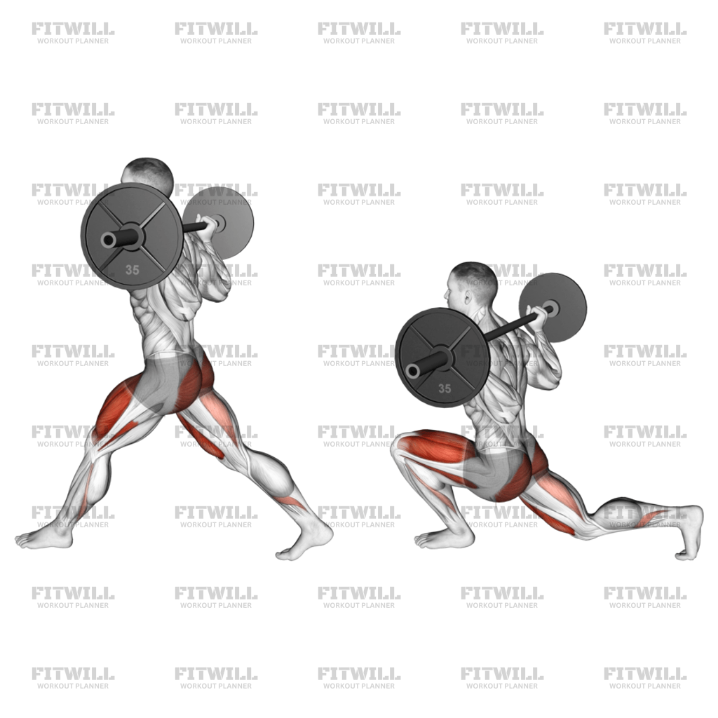 Sentadilla Búlgara Con Barra: Guía de Ejercicios, Video, Técnicas ...