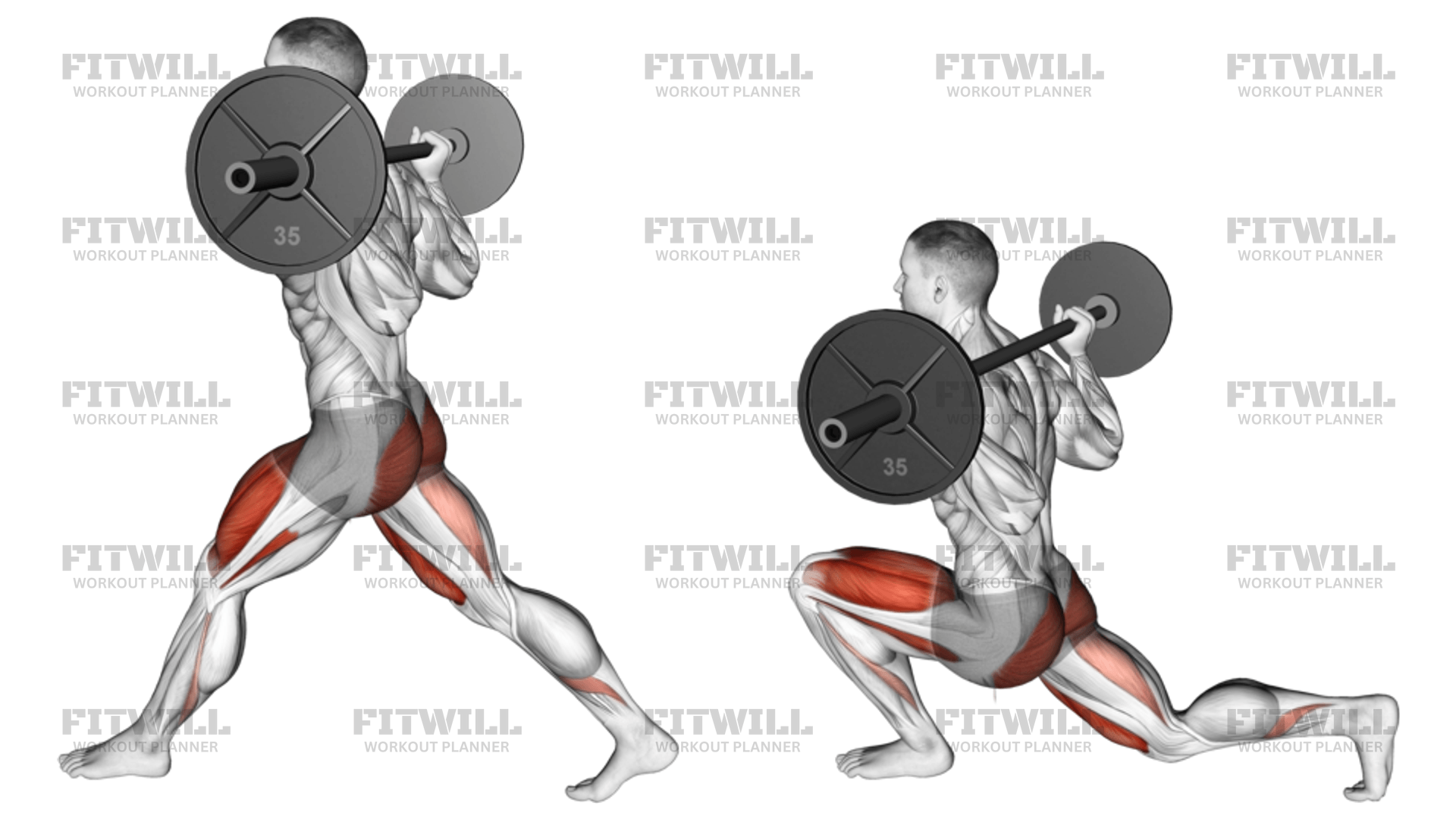 Barbell Low Split Squat: Exercise Guide, Video, Techniques, Benefits ...