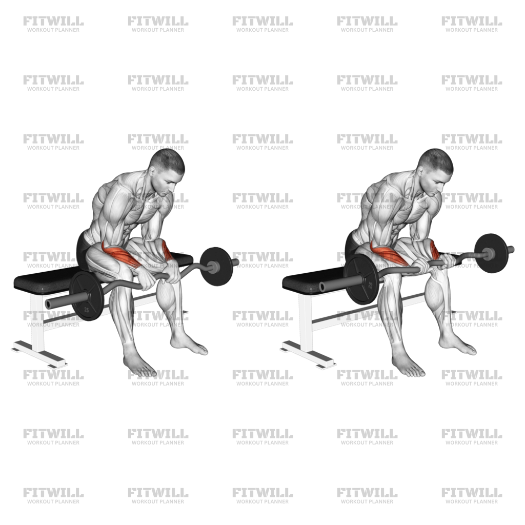 EZ Bar Seated Wrist Reverse Curl: Exercise Guide, Video, Techniques ...