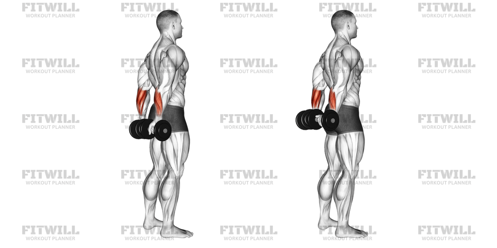 Dumbbell Standing Back Wrist Curl: Exercise Guide, Video, Techniques ...