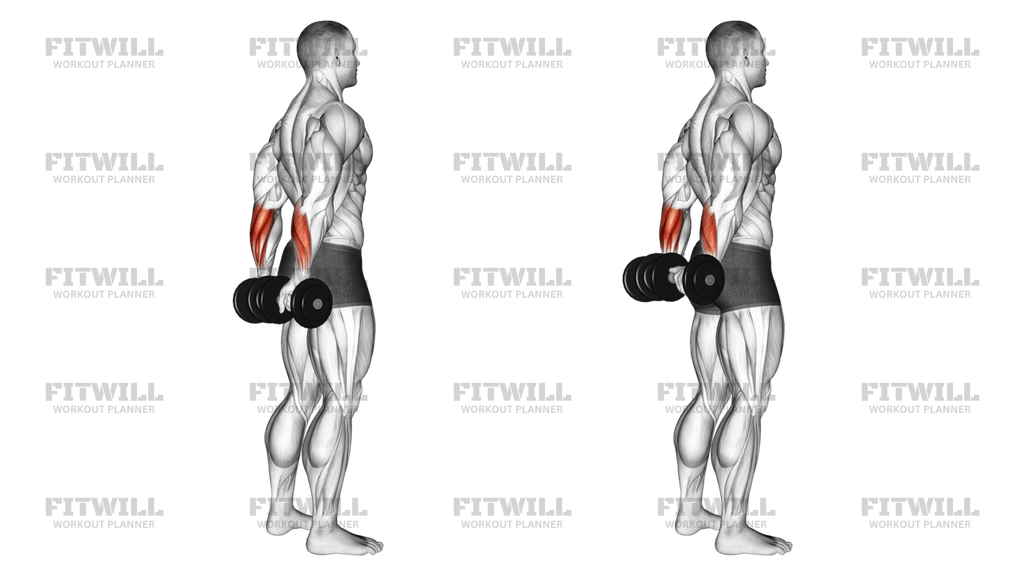 Dumbbell Standing Back Wrist Curl: Exercise Guide, Video, Techniques ...
