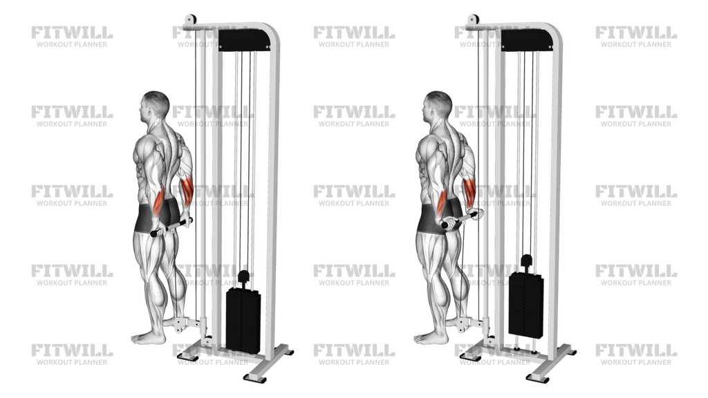Cable Standing Back Wrist Curl: Exercise Guide, Video, Techniques ...