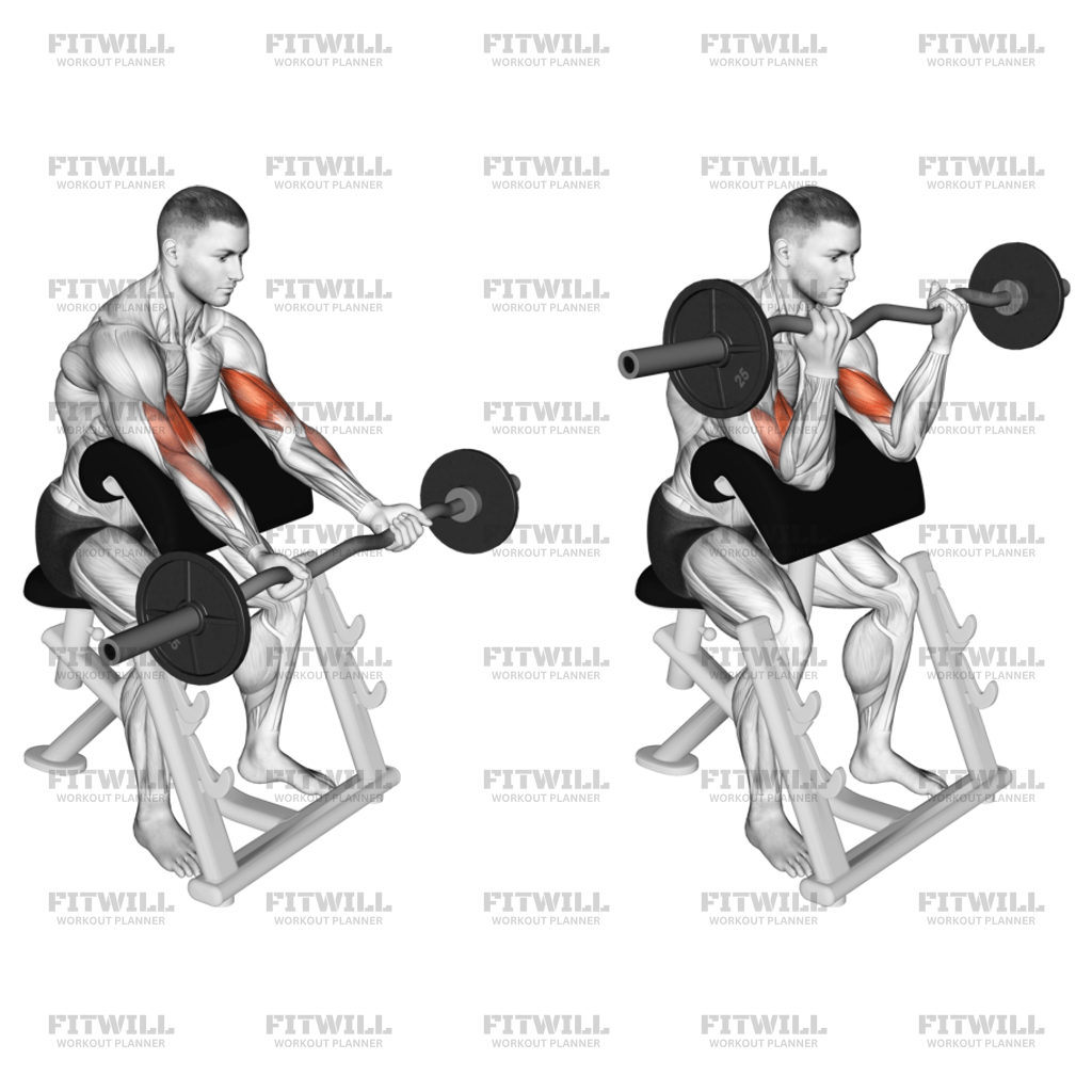 EZ Barbell Preacher Curl: Exercise Guide, Video, Techniques, Benefits ...