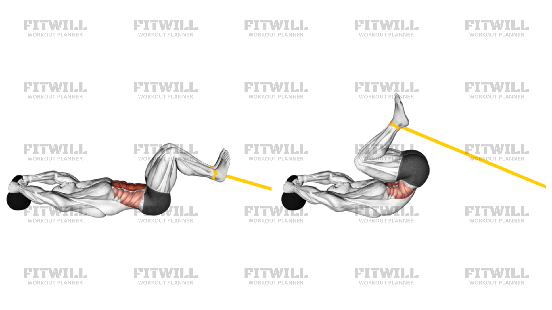 Resistance Band Reverse Crunch (VERSION 2): Exercise Guide, Techniques ...