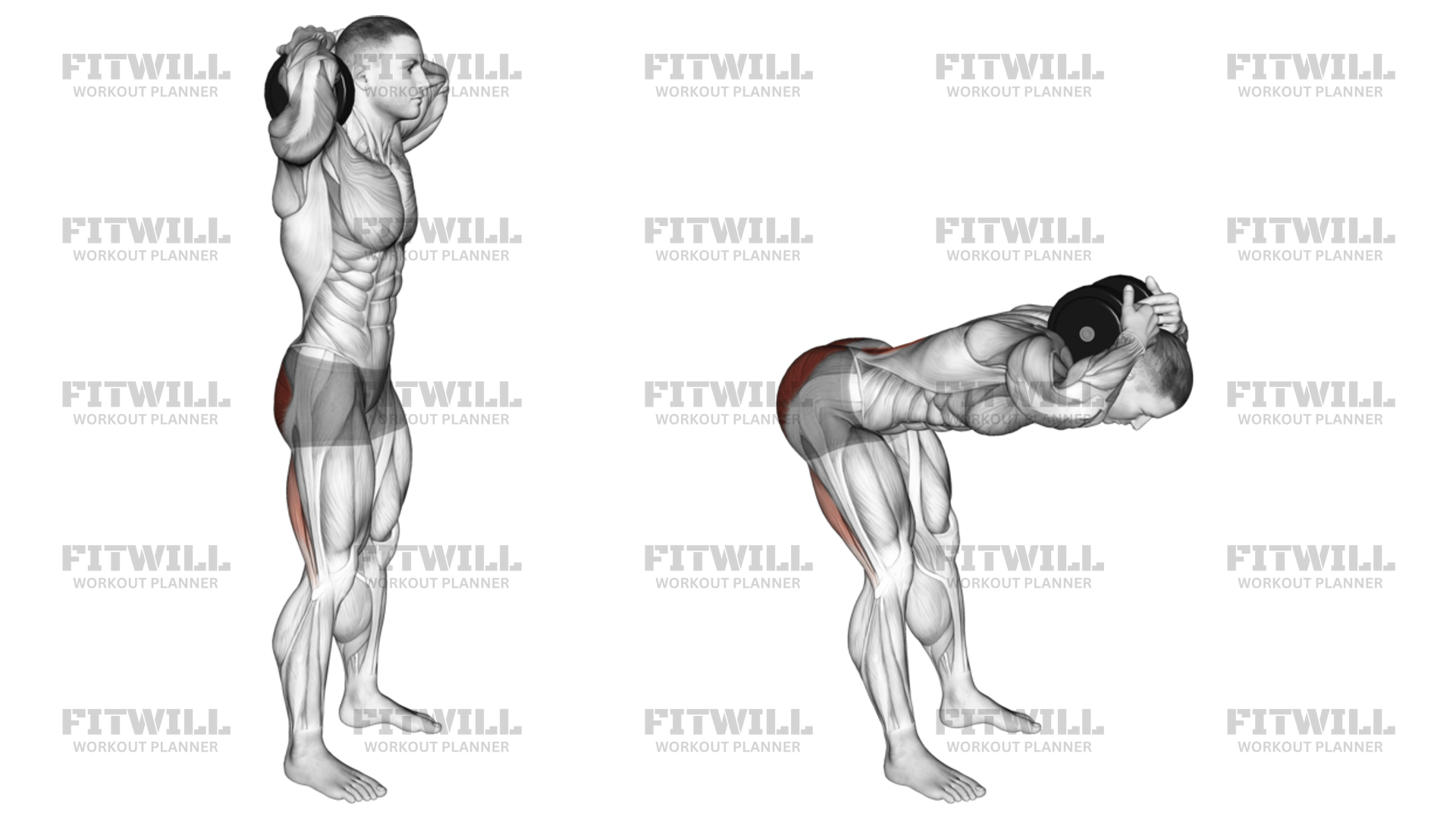 Dumbbell Good Morning: Exercise Guide, Video, Techniques, Benefits, How ...