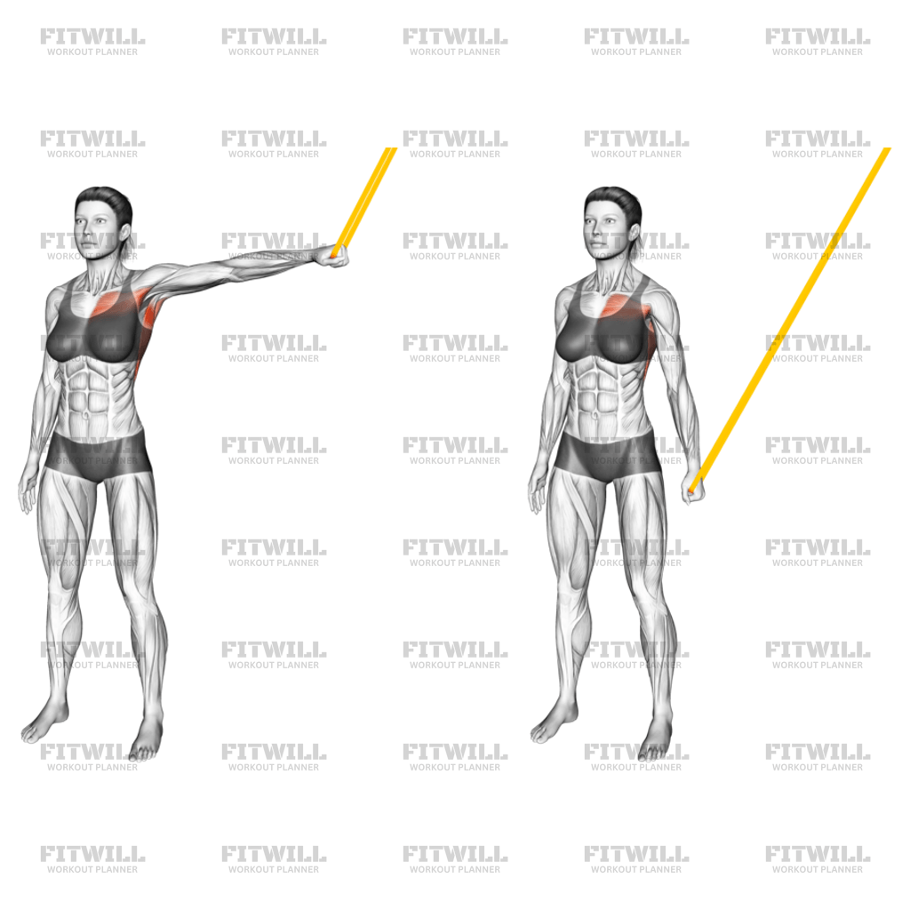 Resistance Band Shoulder Adduction: Exercise Guide, Video, Techniques ...