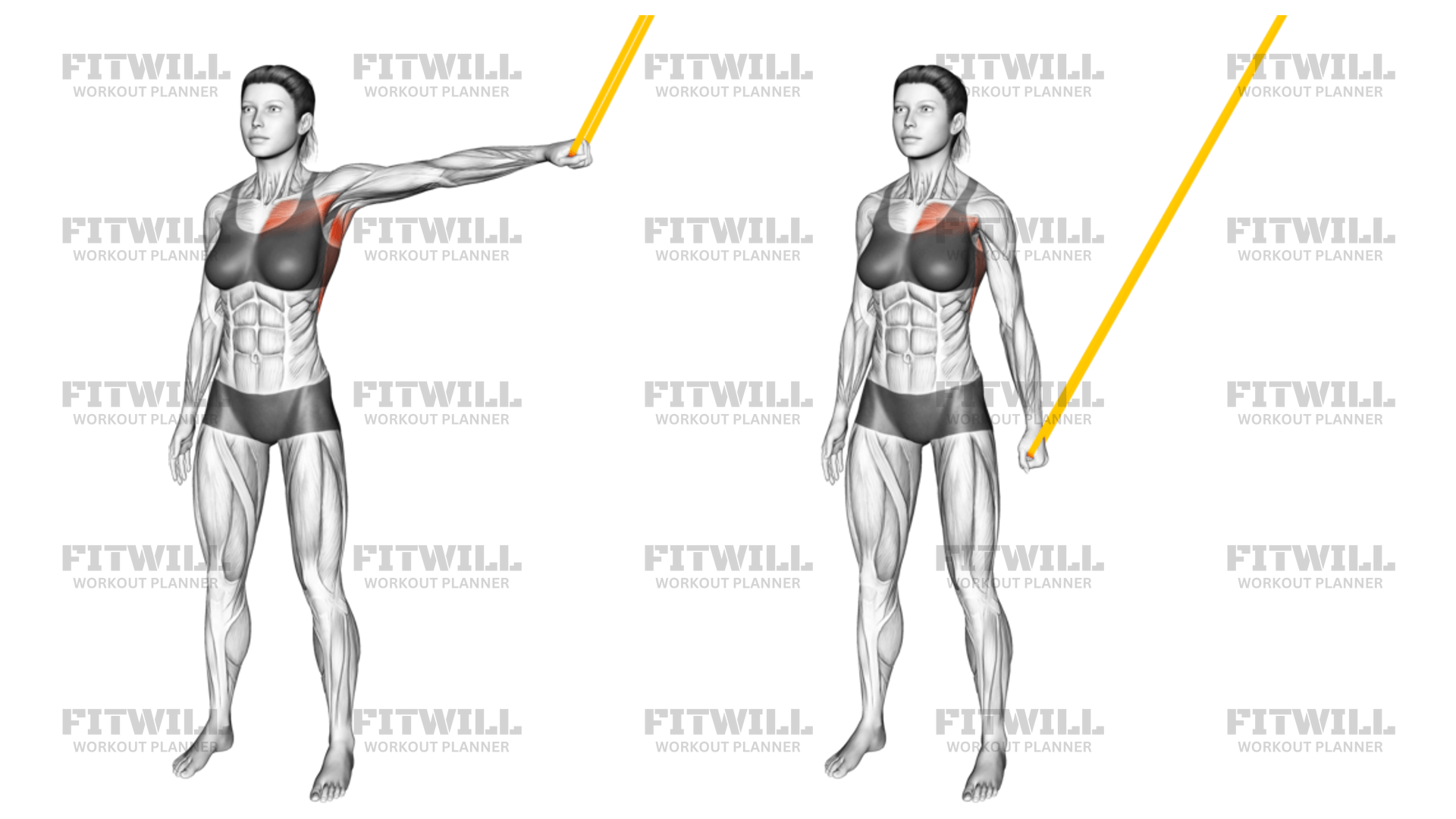 Resistance Band Shoulder Adduction: Exercise Guide, Video, Techniques ...