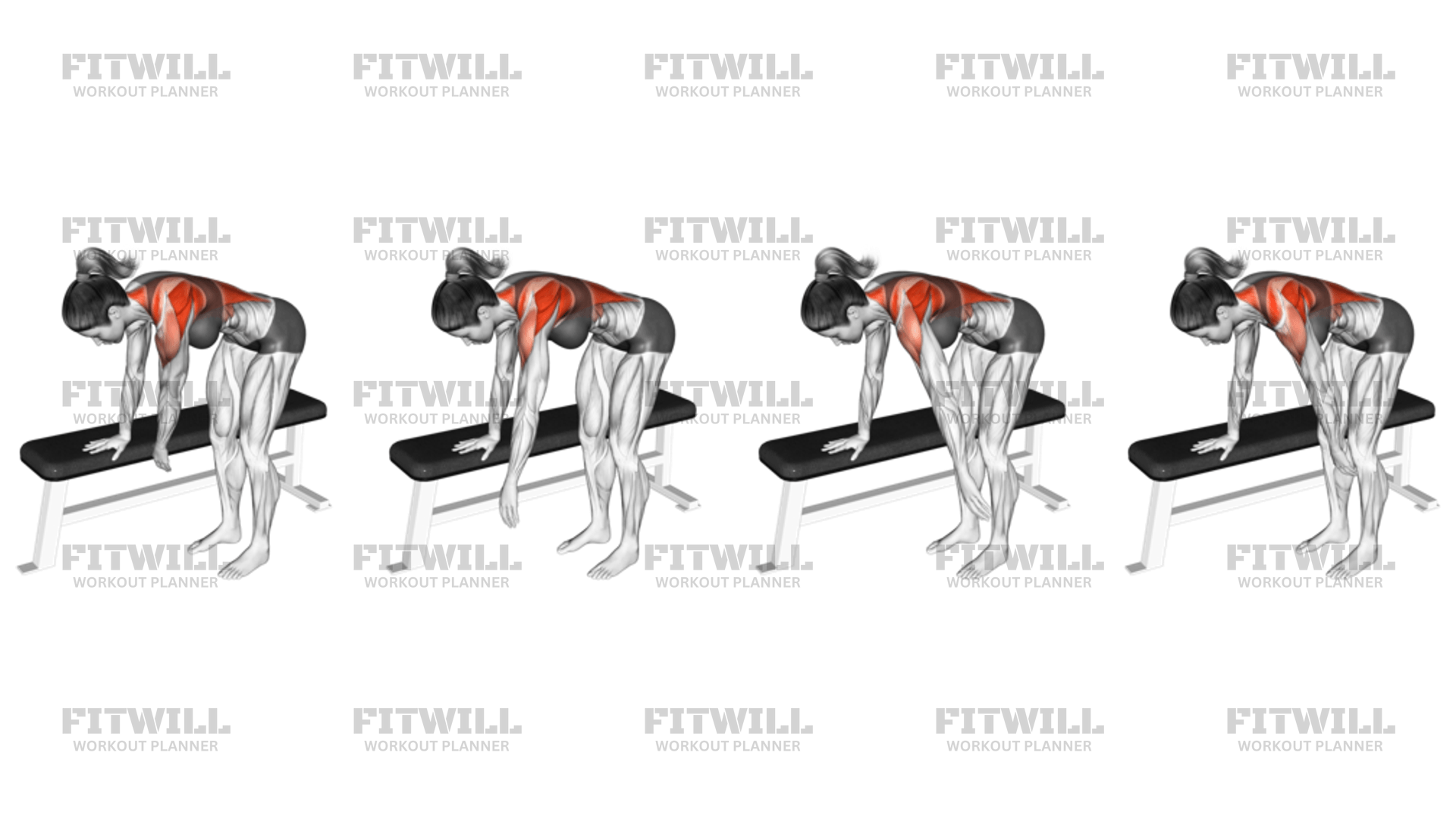 Bent Over Shoulder Pendulum: Exercise Guide, Video, Techniques ...