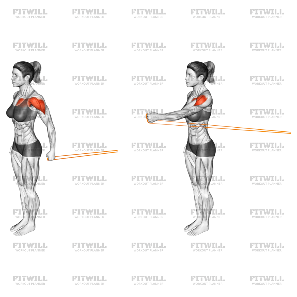 Resistance Band Standing Single Arm Shoulder Flexion: Exercise Guide ...