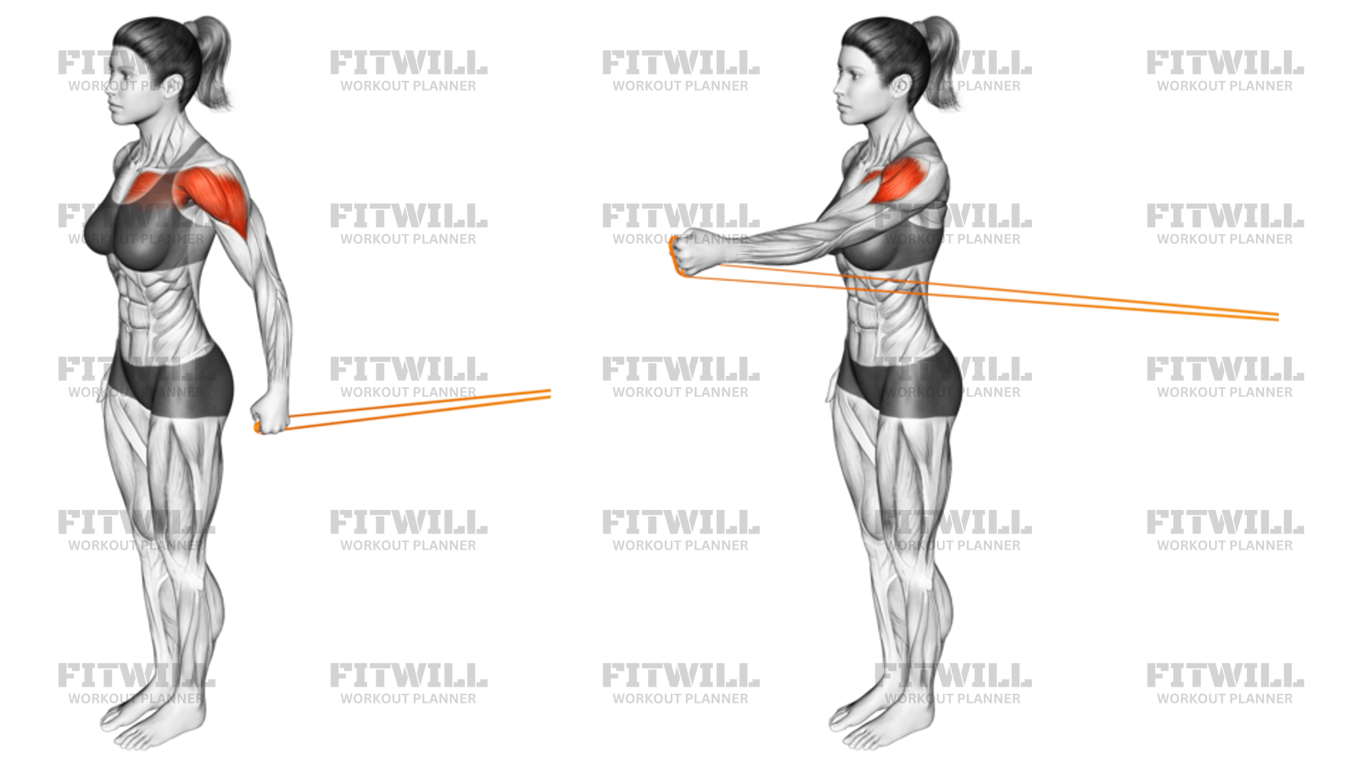 Resistance Band Standing Single Arm Shoulder Flexion: Exercise Guide ...