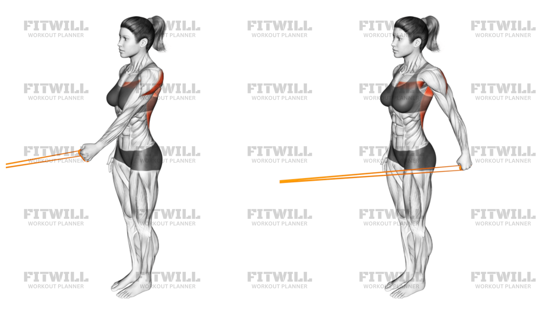 Resistance Band Standing Single Arm Lateral Shoulder Extension ...