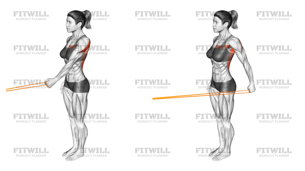 Resistance Band Standing Single-Arm Lateral Shoulder Extension ...