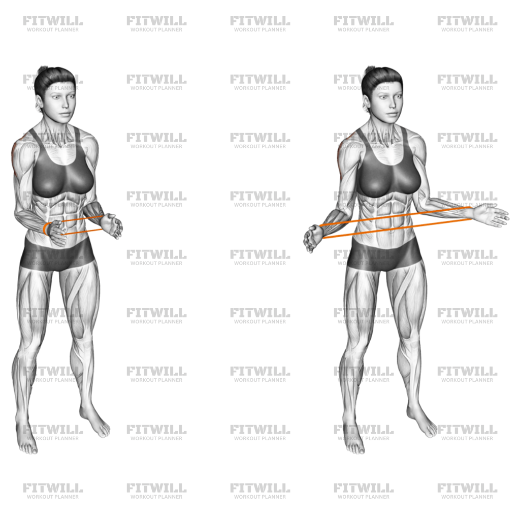 Resistance Band Standing External Rotation: Exercise Guide, Video ...