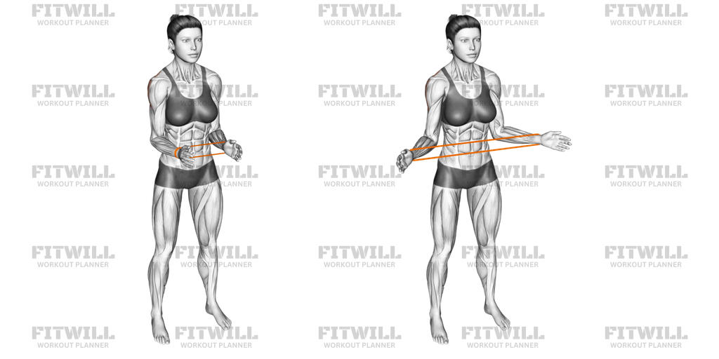 Rotação Externa Em Pé Com Faixa De Resistência: Guia de Exercício ...