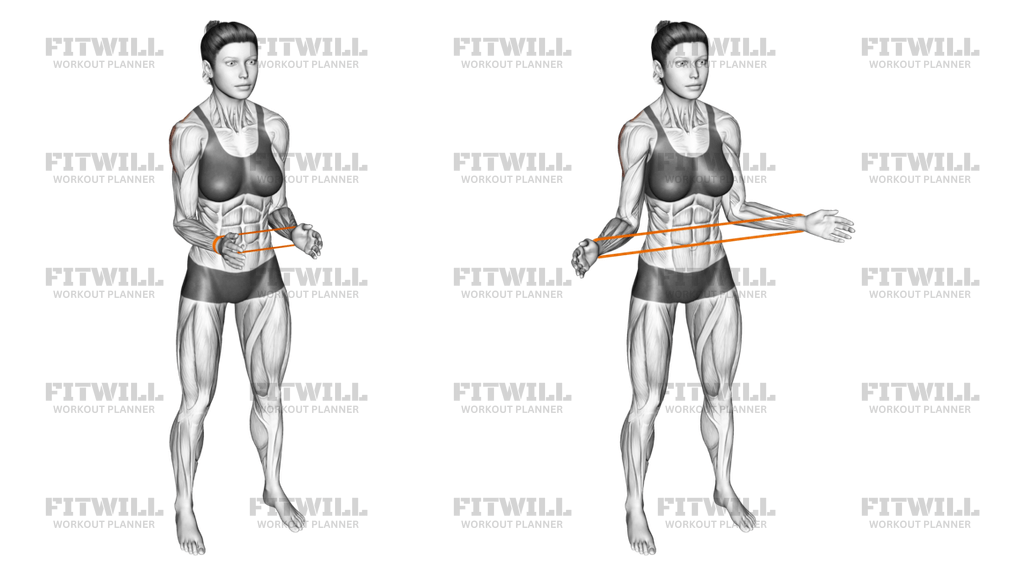 Resistance Band Standing External Rotation: Exercise Guide, Video ...