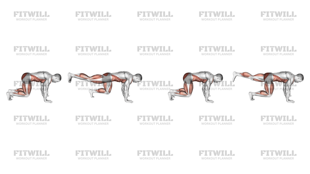 Bear Plank Kickback: Exercise Guide, Video, Techniques, Benefits, How ...