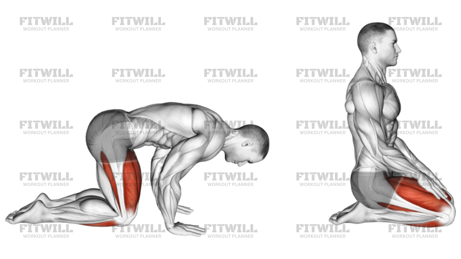 Yoga Vajrasana Thunderbolt Diamond Pose: Exercise Guide, Video ...