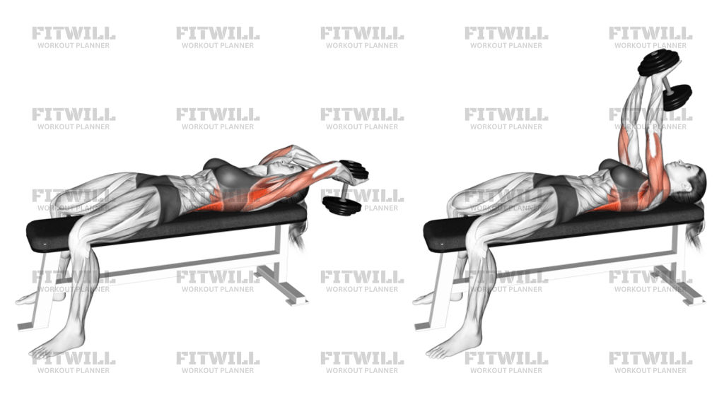 How to do Dumbbell Pullover (VERSION 2): Techniques, Benefits, Tips ...