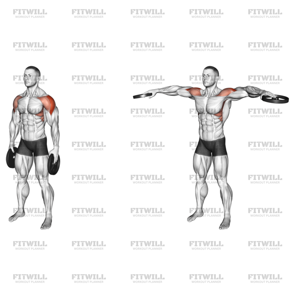 Weighted Plate Standing Lateral Raise: Exercise Guide, Video ...
