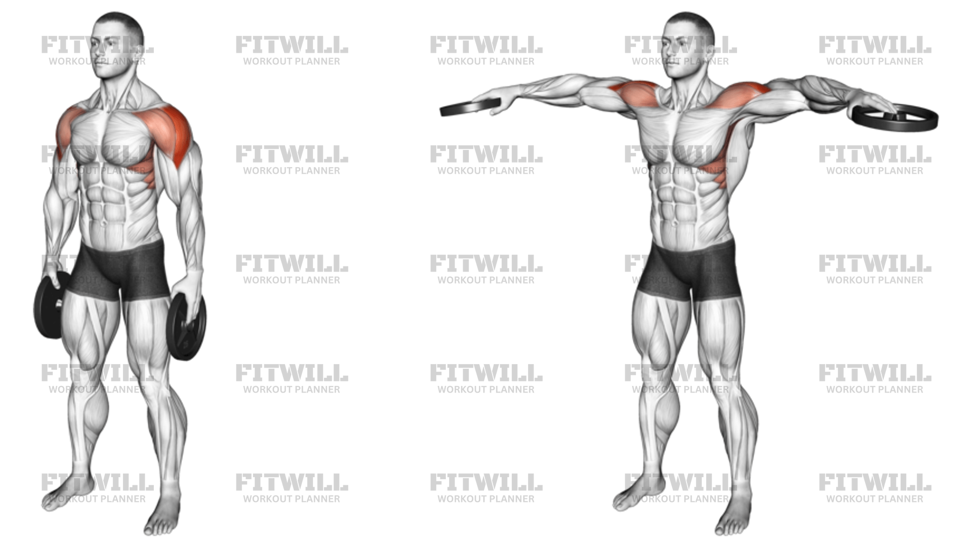 Weighted Plate Standing Lateral Raise: Exercise Guide, Video ...