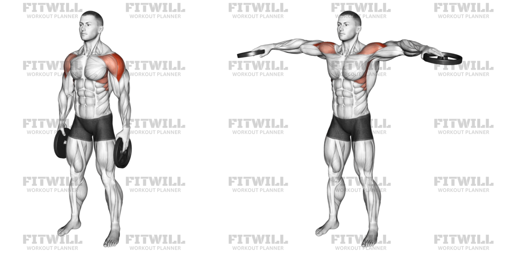 Weighted Plate Standing Lateral Raise: Exercise Guide, Video ...