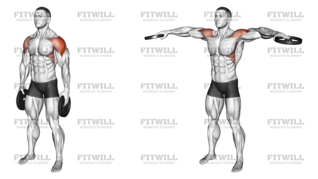 Weighted Plate Standing Lateral Raise: Exercise Guide, Video ...