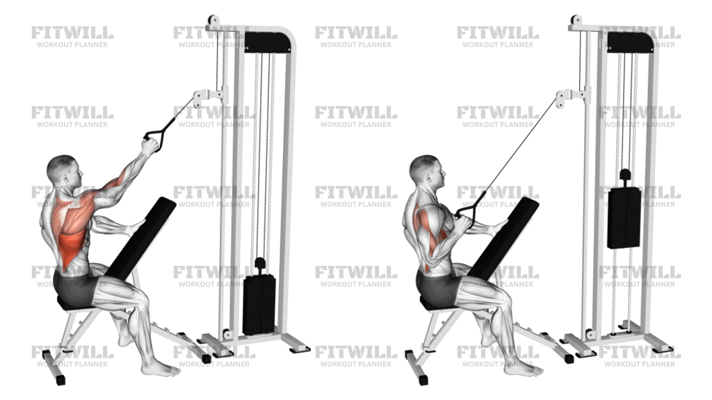Cable Single Arm High Row: Exercise Guide, Video, Techniques, Benefits ...