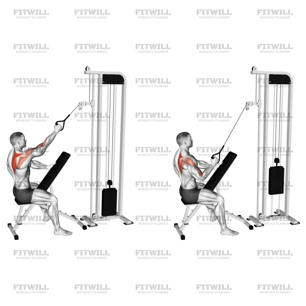 Cable Single Arm High Scapular Row: Exercise Guide, Video, Techniques ...