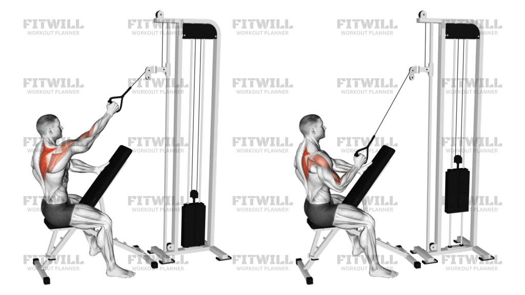 Cable Single Arm High Scapular Row: Exercise Guide, Video, Techniques ...