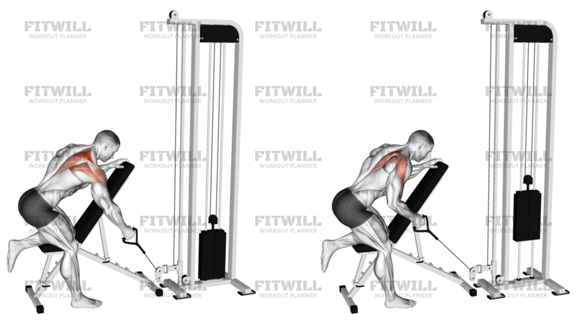 Cable Single Arm Low Scapular Row: Exercise Guide, Video, Techniques ...