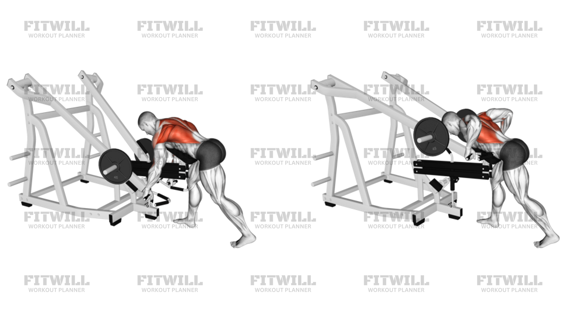 Lever Bent-Over Row With Chest Support: Exercise Guide, Techniques ...