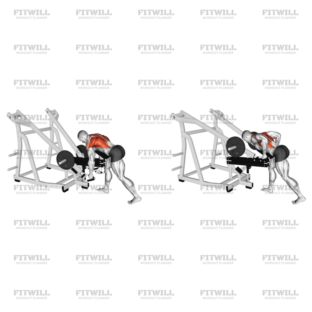 Lever Bent Over Neutral Grip Row (with Chest Support): Exercise Video ...