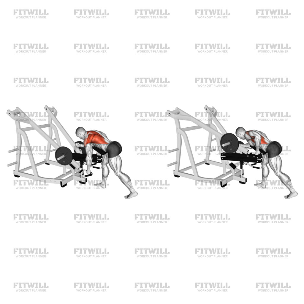 Lever Bent Over Single Arm Neutral Grip Row (with Chest Support ...