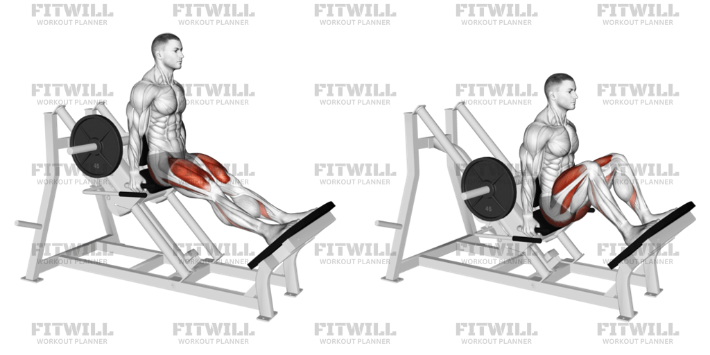 Lever Linear Hack Squat: Exercise Guide, Video, Techniques, Benefits ... Lever Linear Hack Squat: Exercise Guide, Video, Techniques, Benefits ...