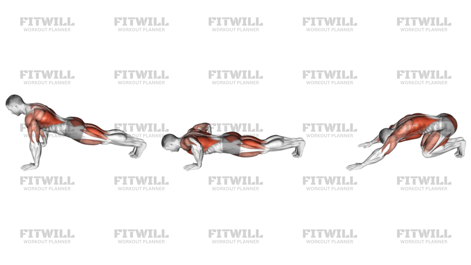 Push Up Pull Exercise Video Fitwill