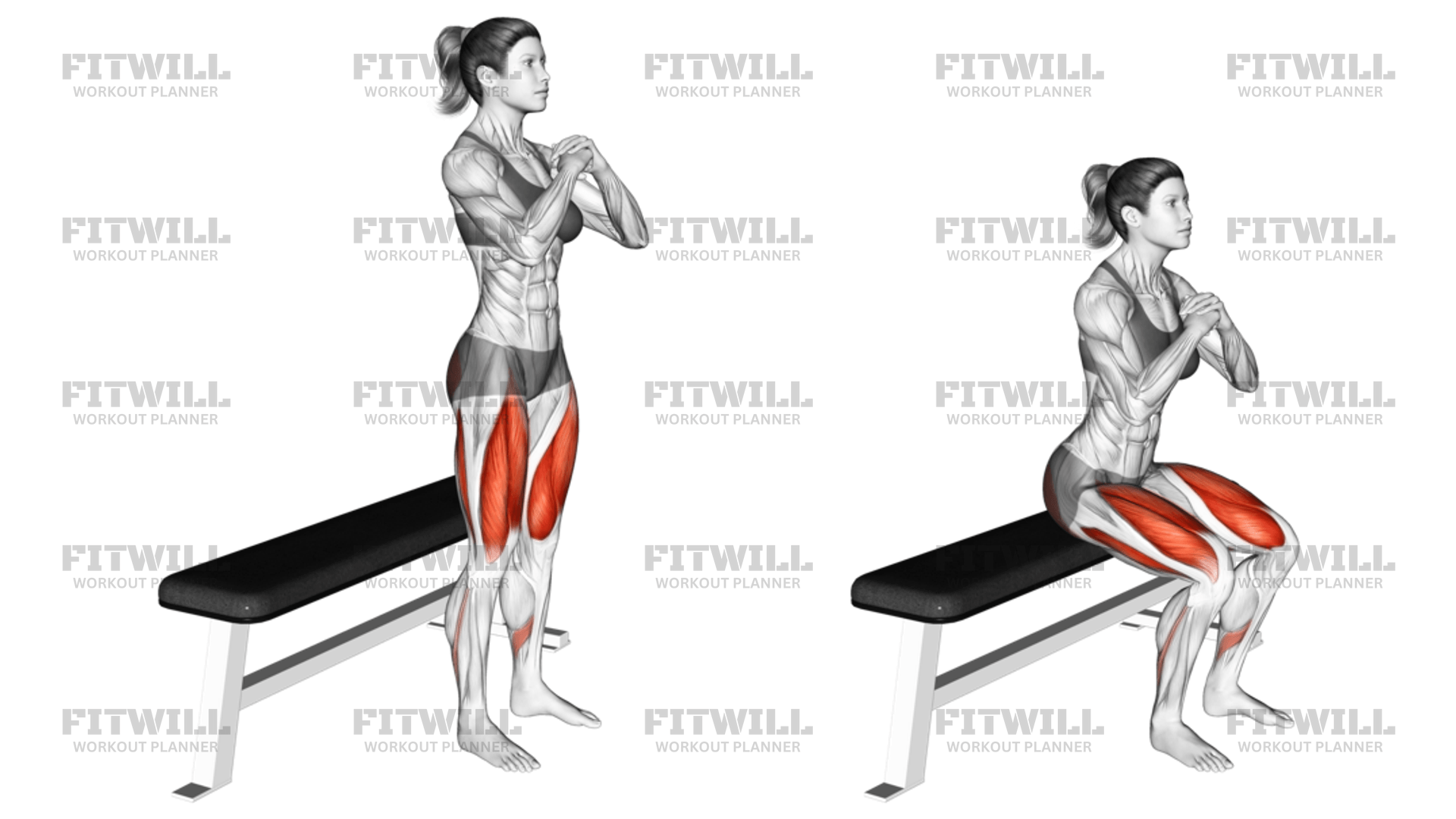 Bodyweight Bench Squat: Exercise Guide, Video, Techniques, Benefits ...