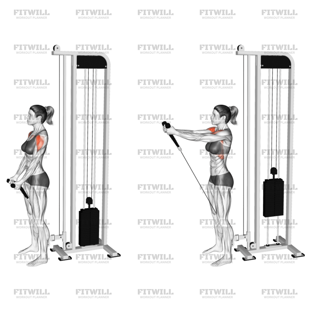 Cable Front Raise (rope Attachment): Exercise Guide, Video, Techniques ...