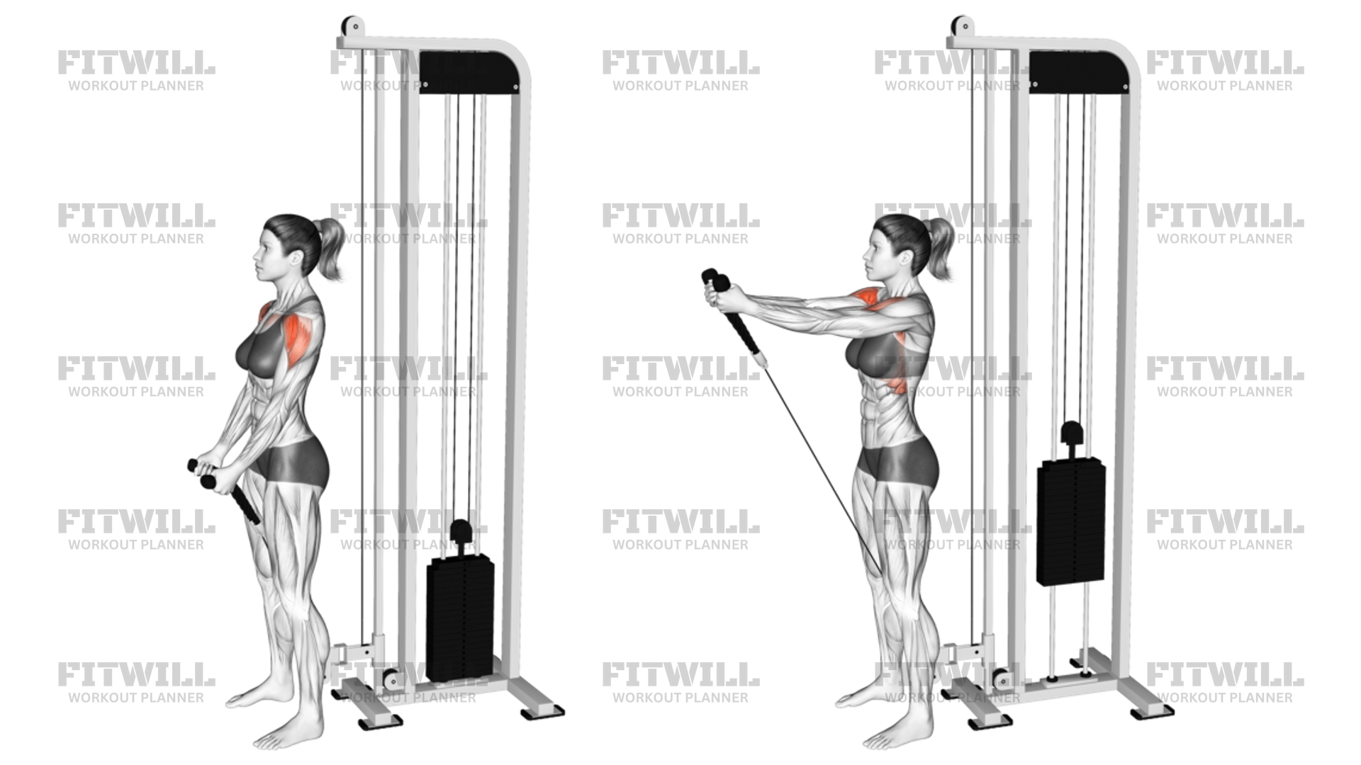 Cable Front Raise (rope Attachment): Exercise Guide, Video, Techniques ...